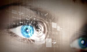 Augmented Intelligent Vision Systems Process in Real Time