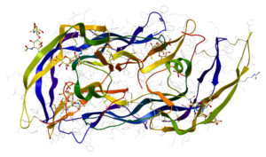 Google AI Proteins Tool Makes New Discovery